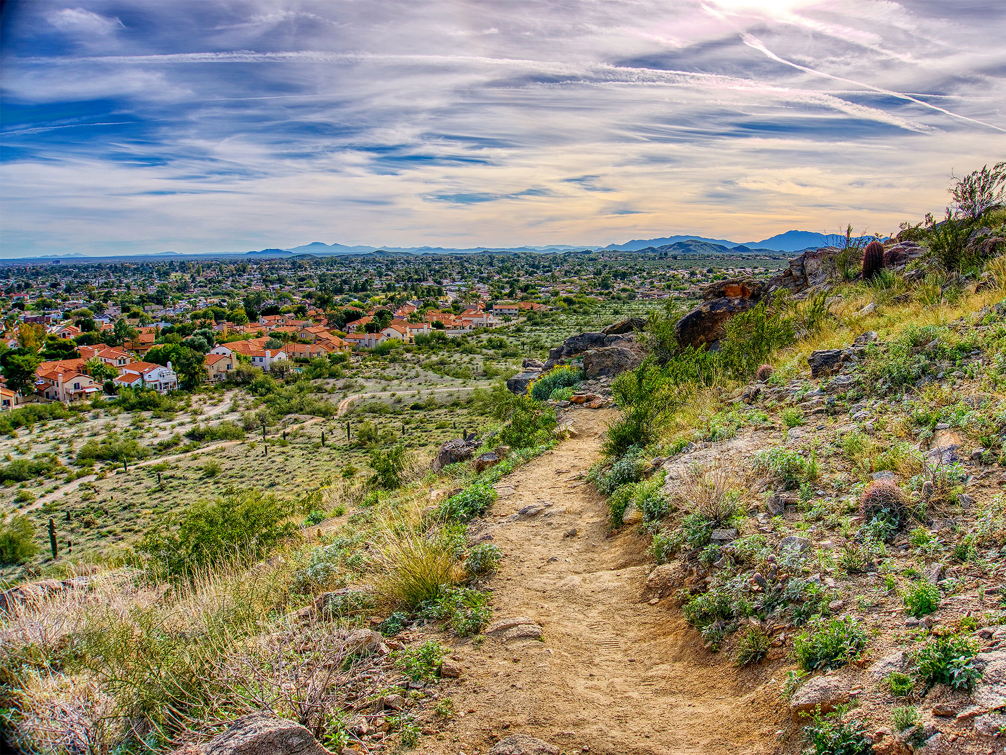 Pack a Picnic for America's Largest Urban Parks — Daily Passport