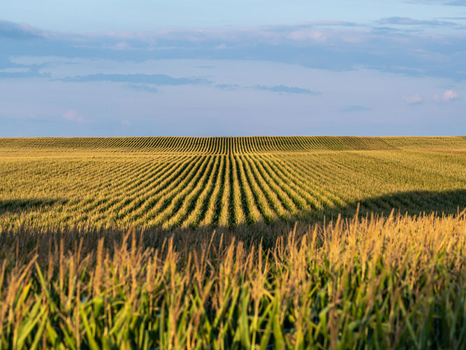 16 State Nicknames Explained — Daily Passport