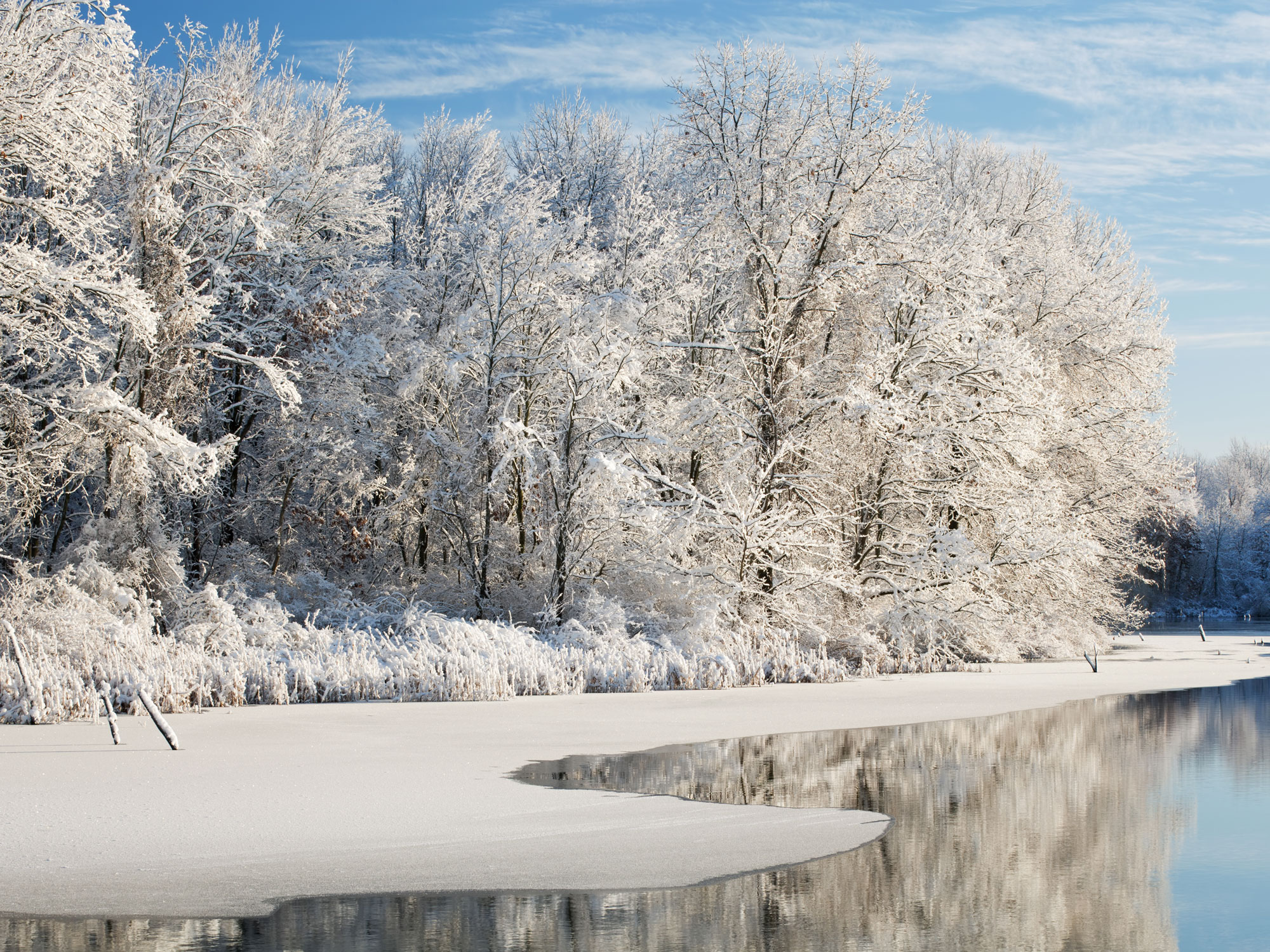 The Top 20 Snowiest States in the U.S. — Daily Passport