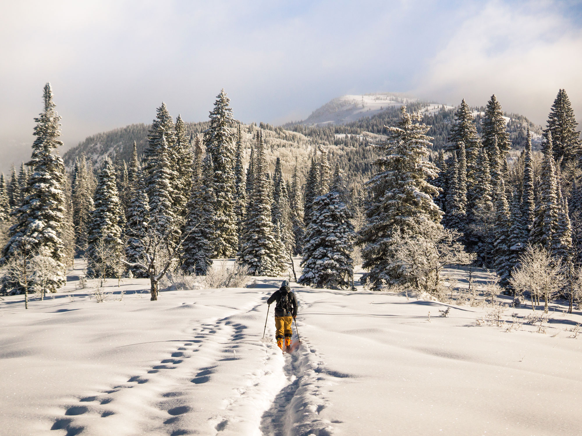 The Top 20 Snowiest States in the U.S. — Daily Passport