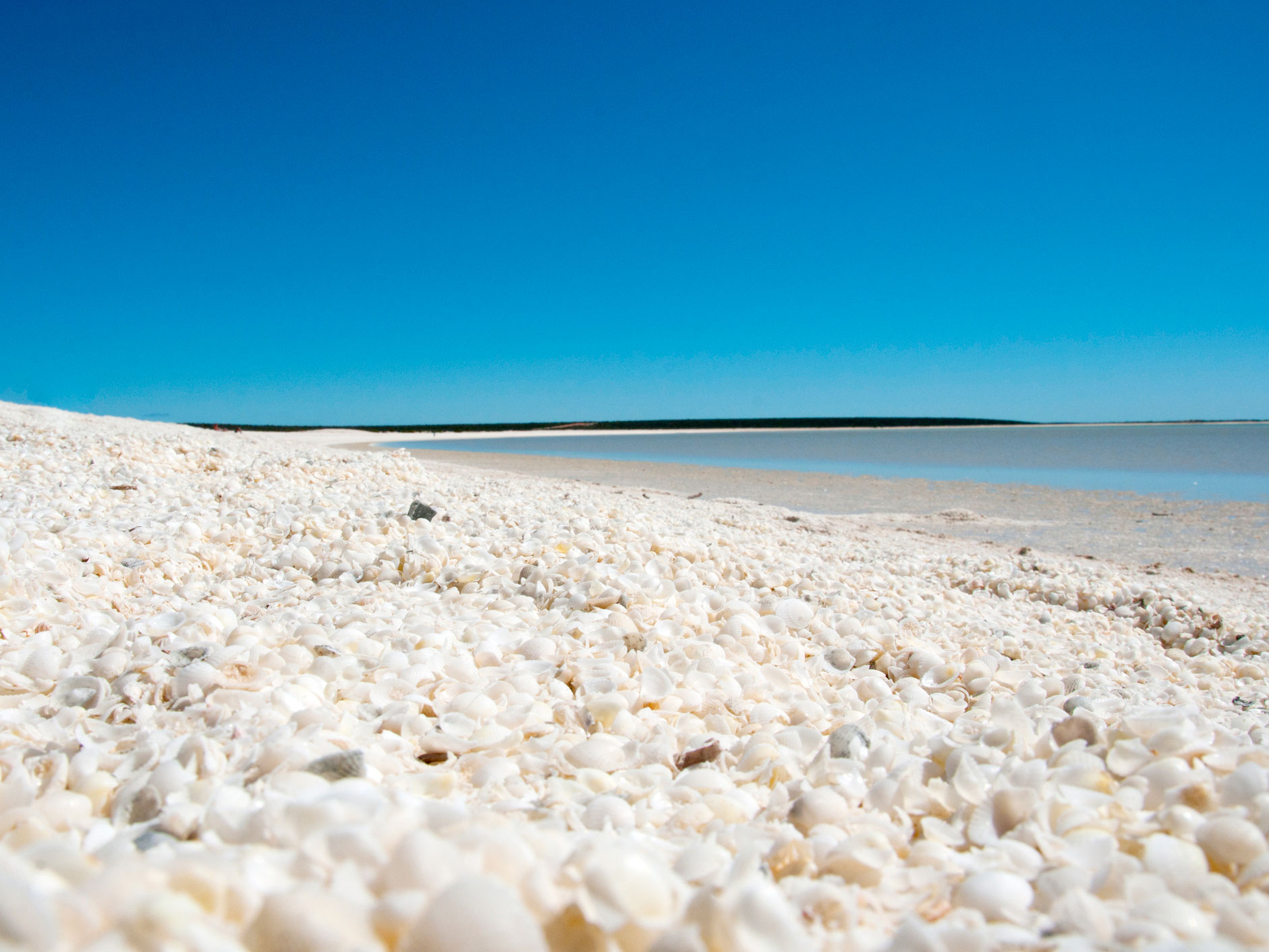 From Green Sands to Glowing Surf, These Beaches Are One of a Kind ...