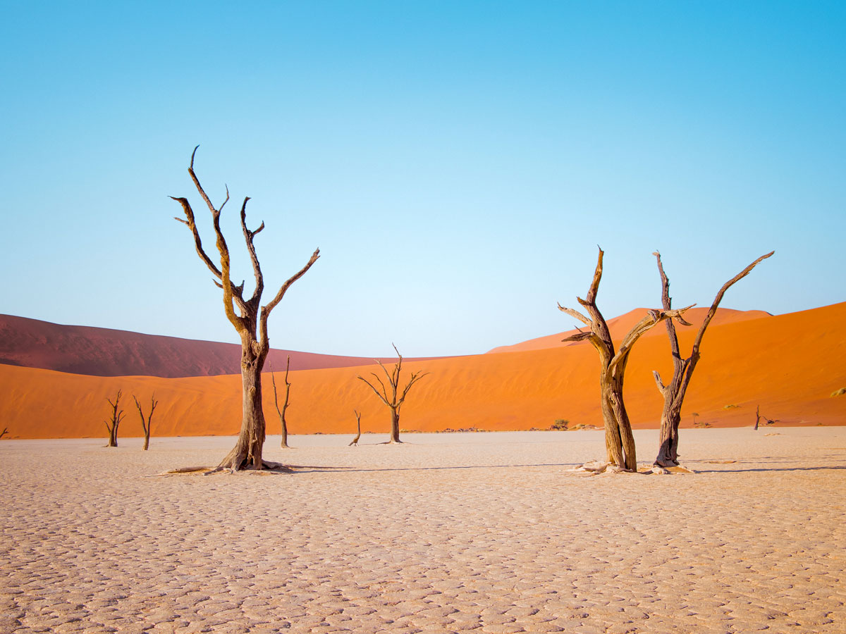 What Are the World’s Largest Deserts? — Daily Passport