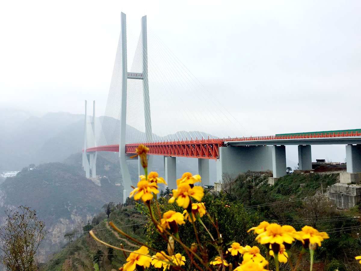 7 of the World’s Most Unique Bridges — Daily Passport