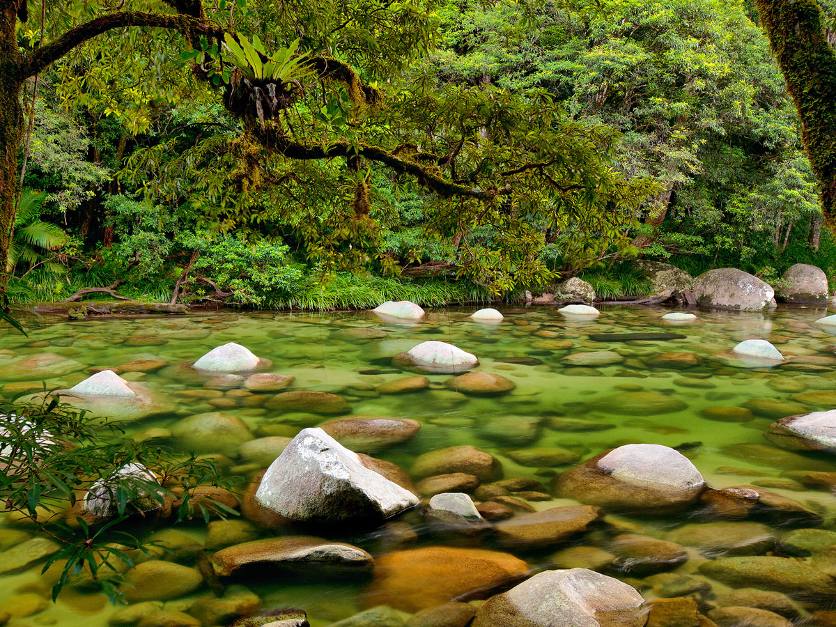 8 of the Planet's Most Biodiverse Rainforests — Daily Passport