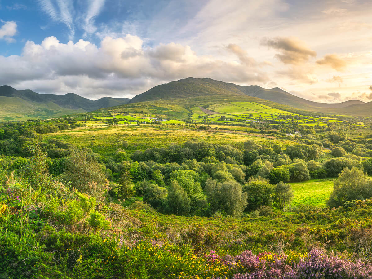 8 Fascinating Facts You Might Not Know About Ireland — Daily Passport