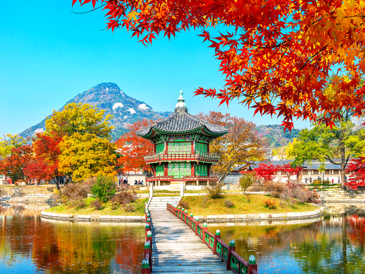 The Best Fall Foliage Destinations Around the World — Daily Passport