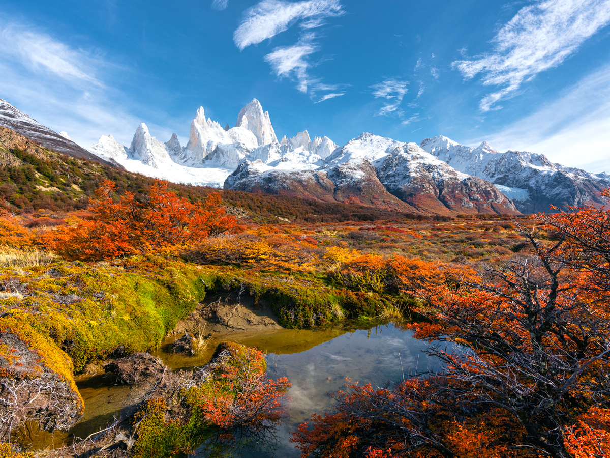 The Best Fall Foliage Destinations Around the World — Daily Passport