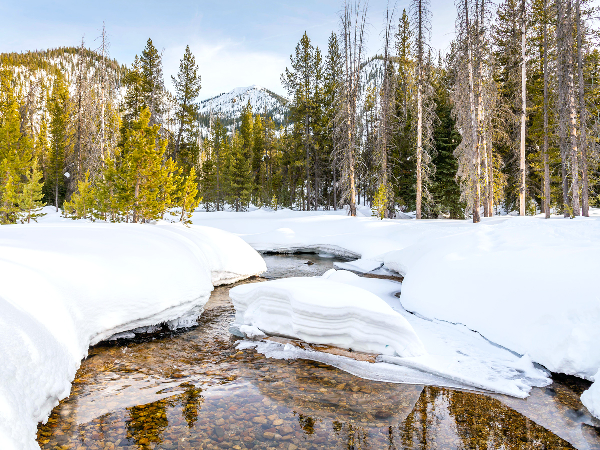 The Top 20 Snowiest States in the U.S. — Daily Passport