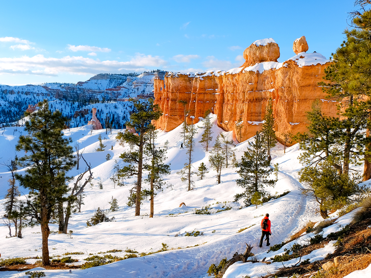 The Top 20 Snowiest States in the U.S. — Daily Passport