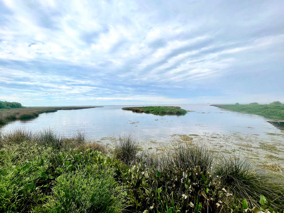 10 of the World’s Largest Estuaries — Daily Passport
