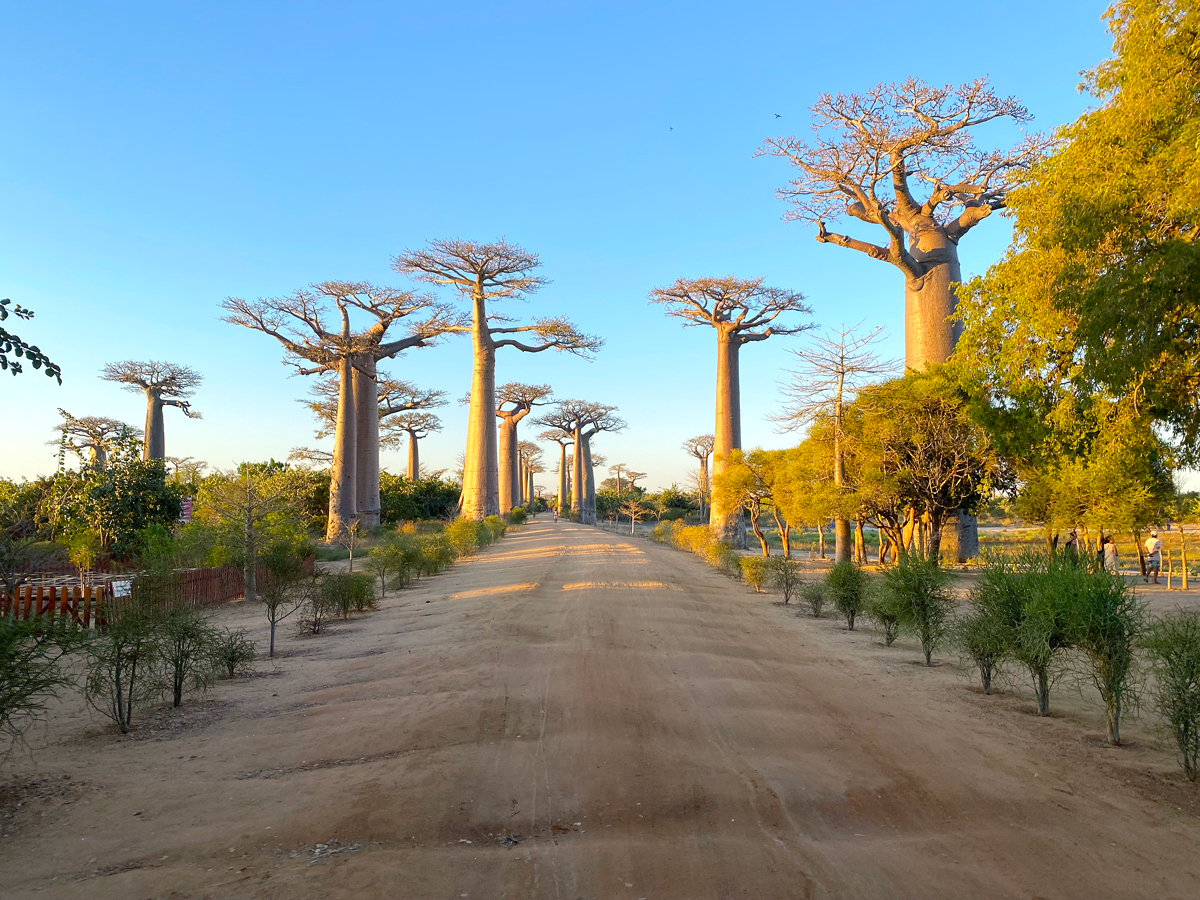 10 of the Most Beautiful Places To Visit in Africa — Daily Passport