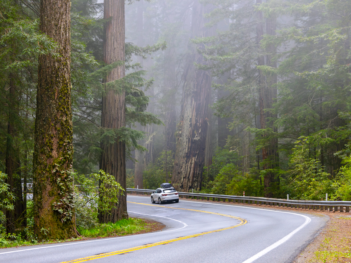Top 20 Longest Highways in the U.S. — Daily Passport