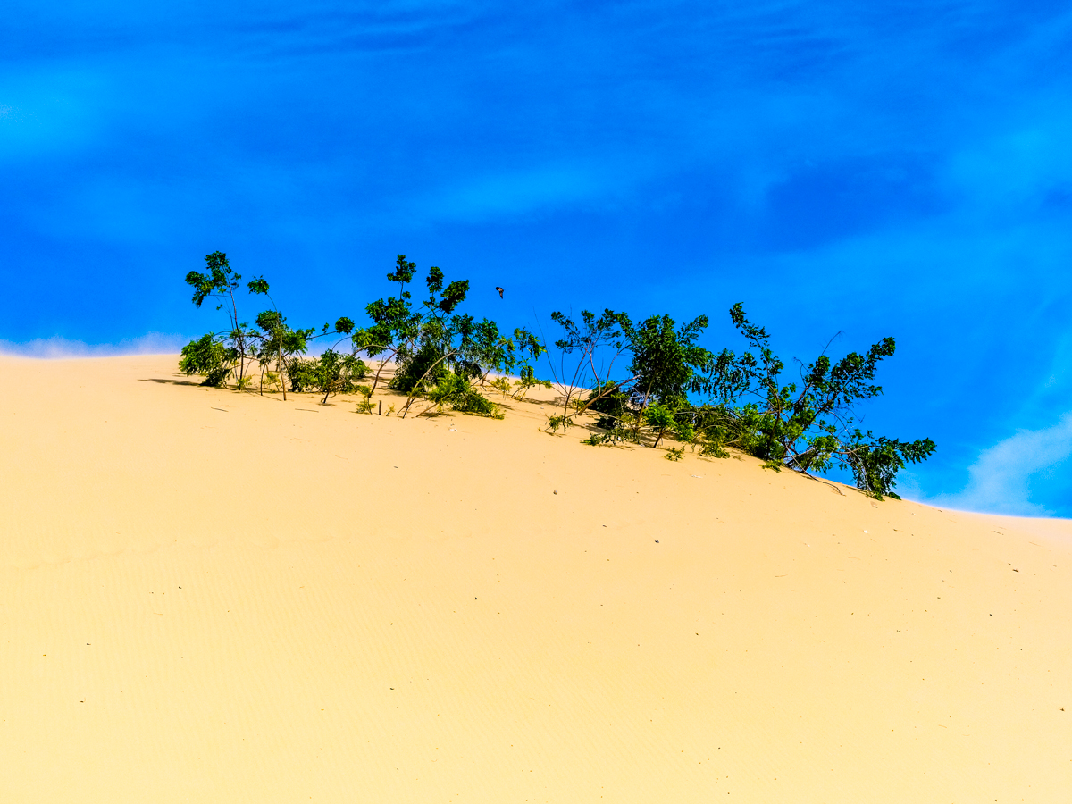 8 Spectacular Sand Dunes Around the World — Daily Passport