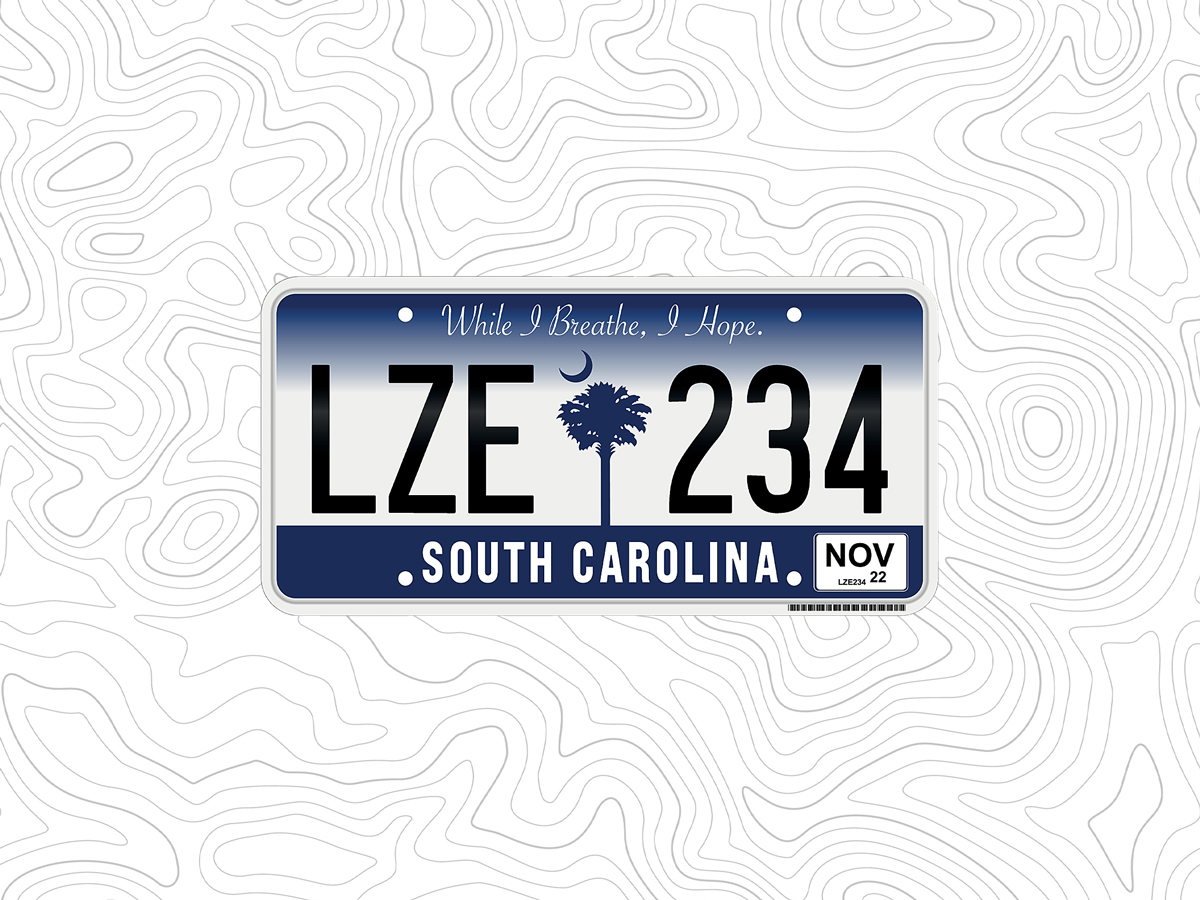 The 10 Best State License Plates — Daily Passport
