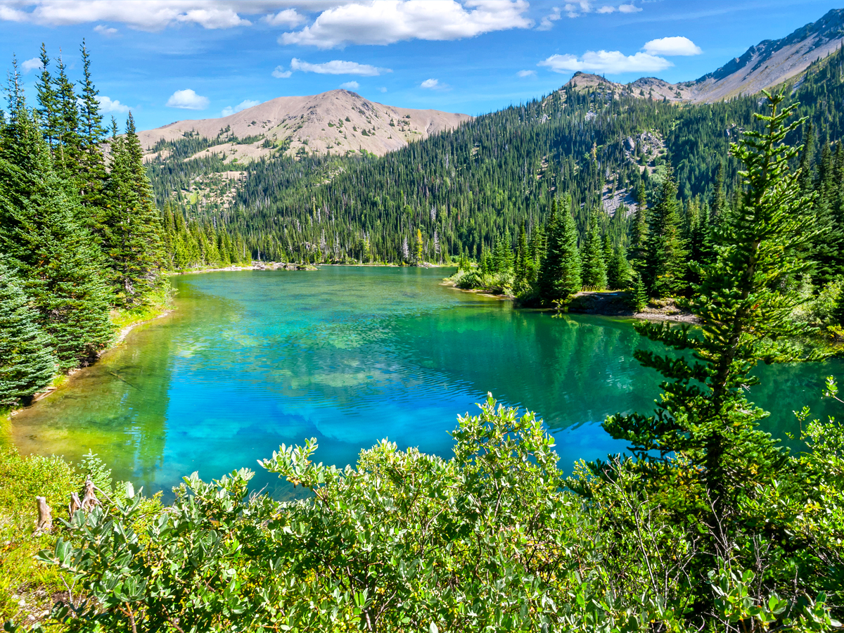 7 States With the Most National Parks — Daily Passport