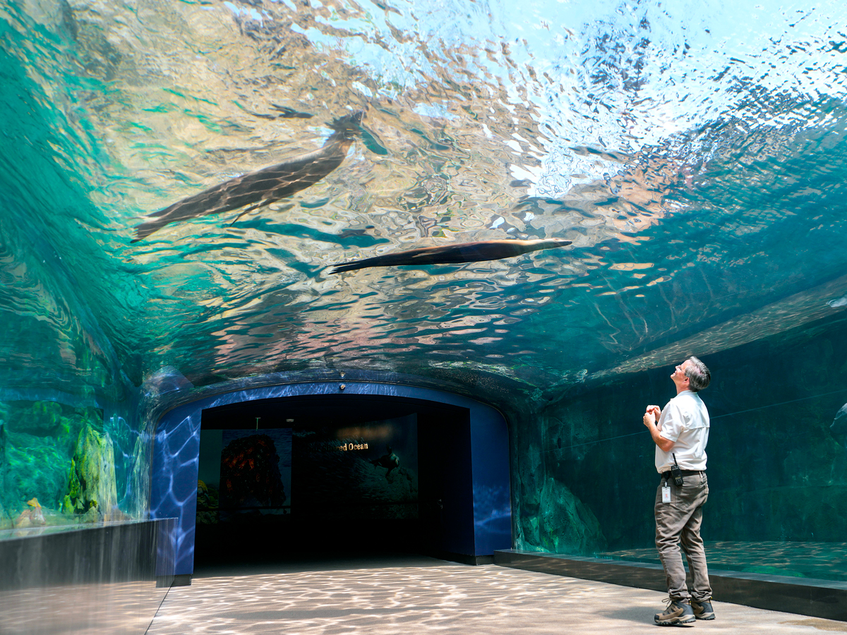 13 of the Largest Zoos in the U.S. — Daily Passport