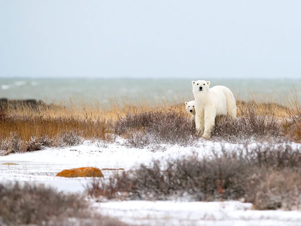 10 of the Coldest Inhabited Places on Earth — Daily Passport